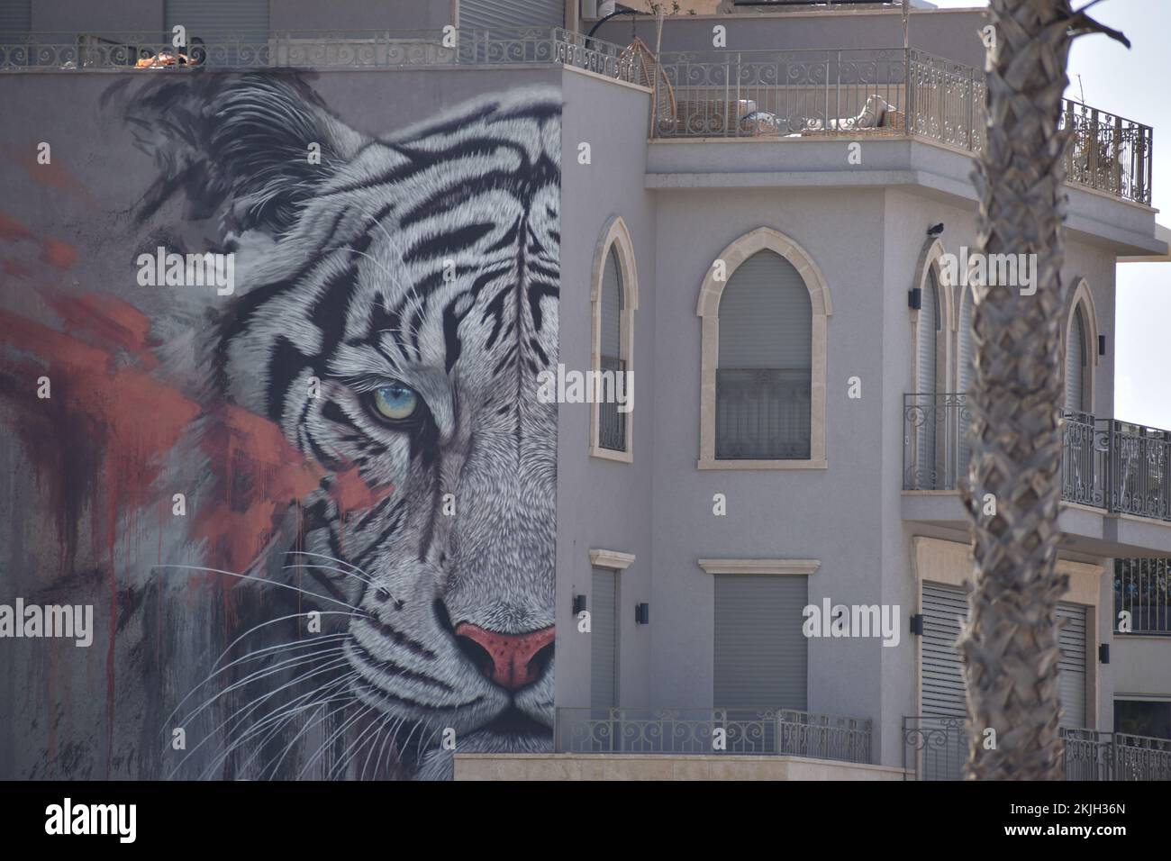 Tiger painted wall hi-res stock photography and images - Alamy