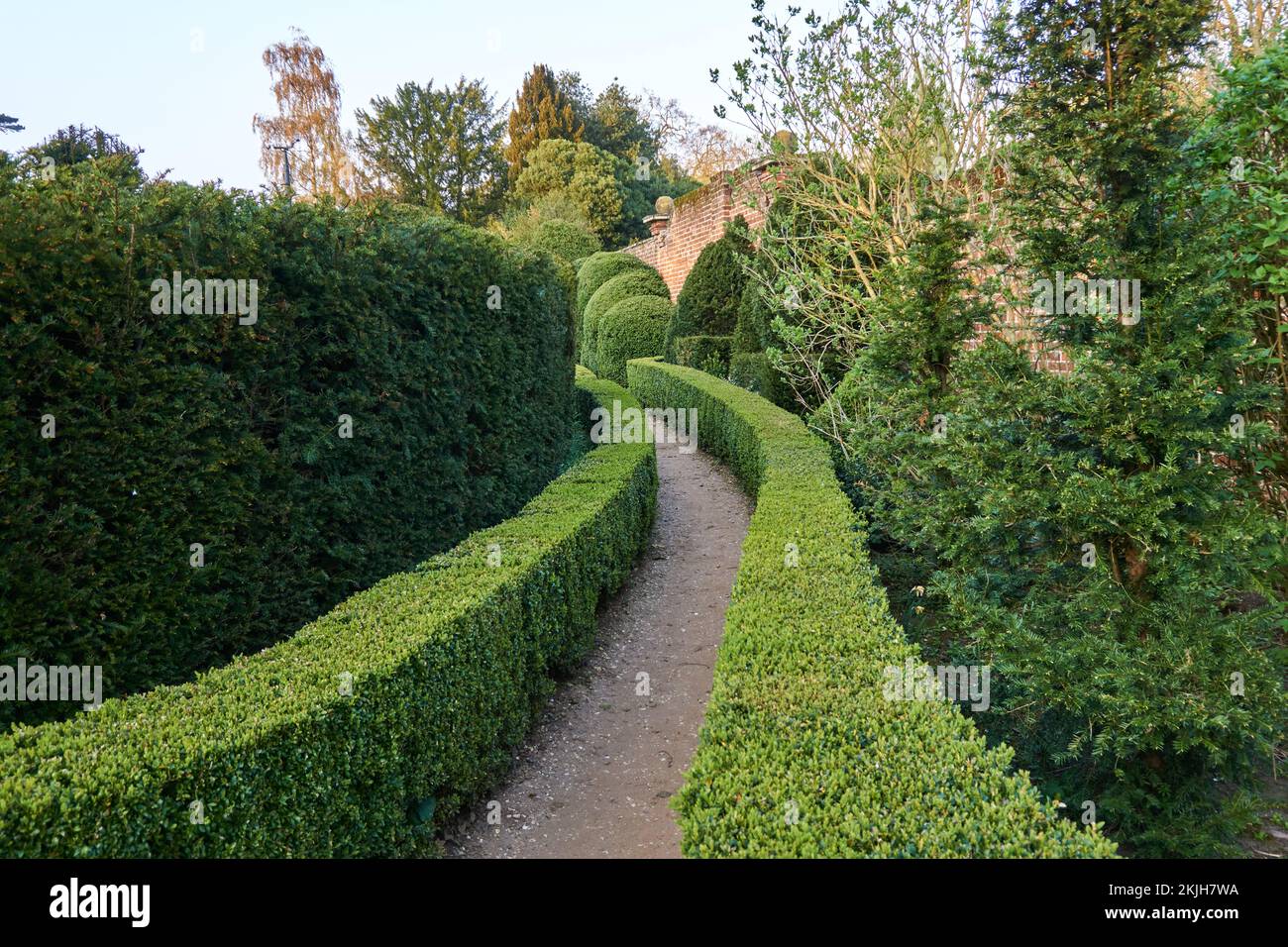 Hedges lining the pathway by the maze in Bridge End Garden in Saffron ...