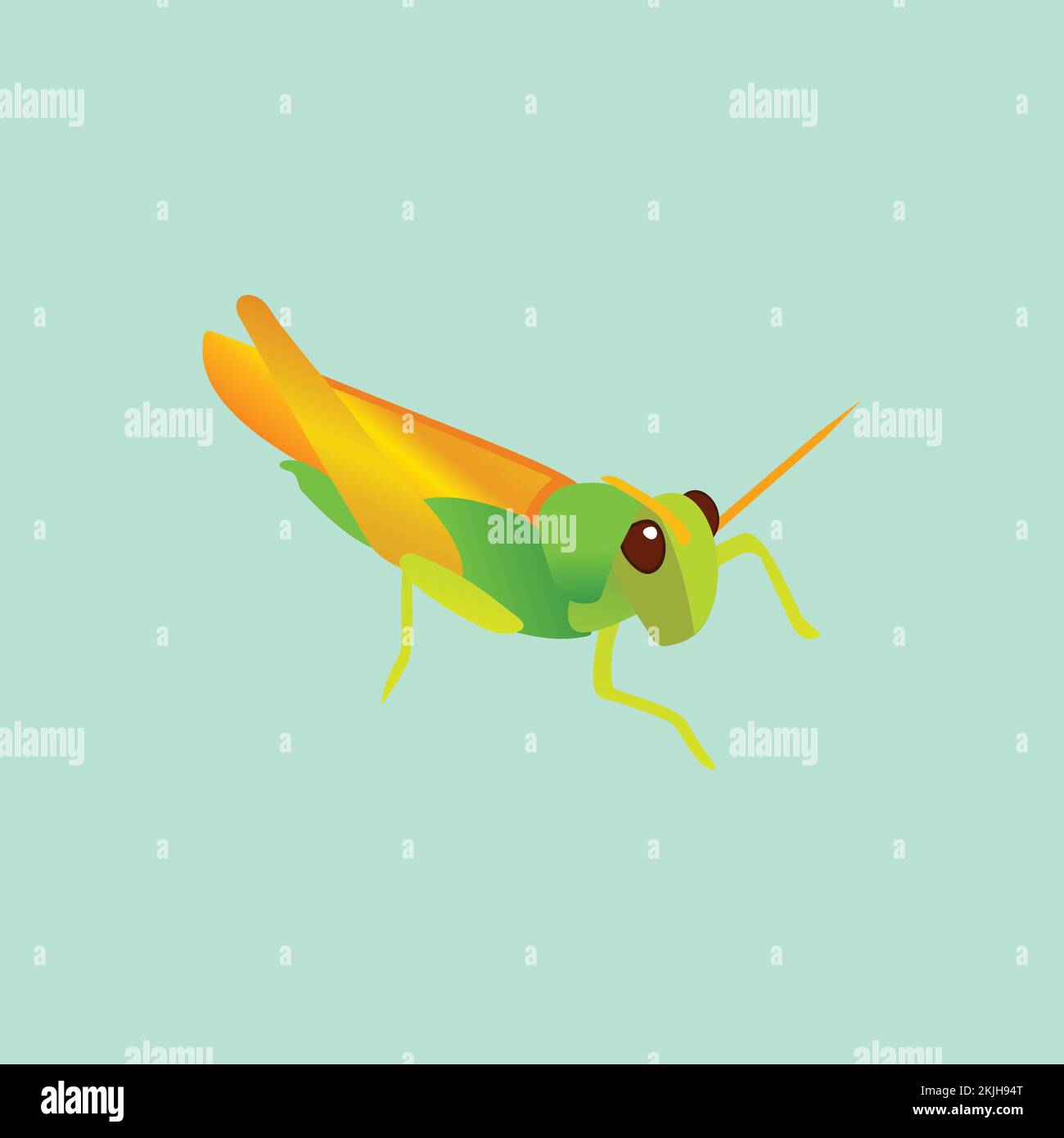 Grasshopper vector vectors hi-res stock photography and images - Alamy