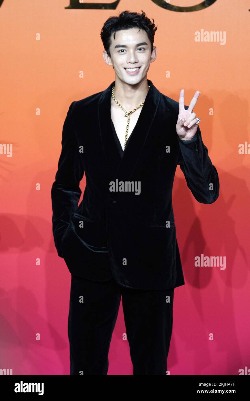 Chinese actor Leo Wu attended the red carpet of the BVLGARI activity in ...