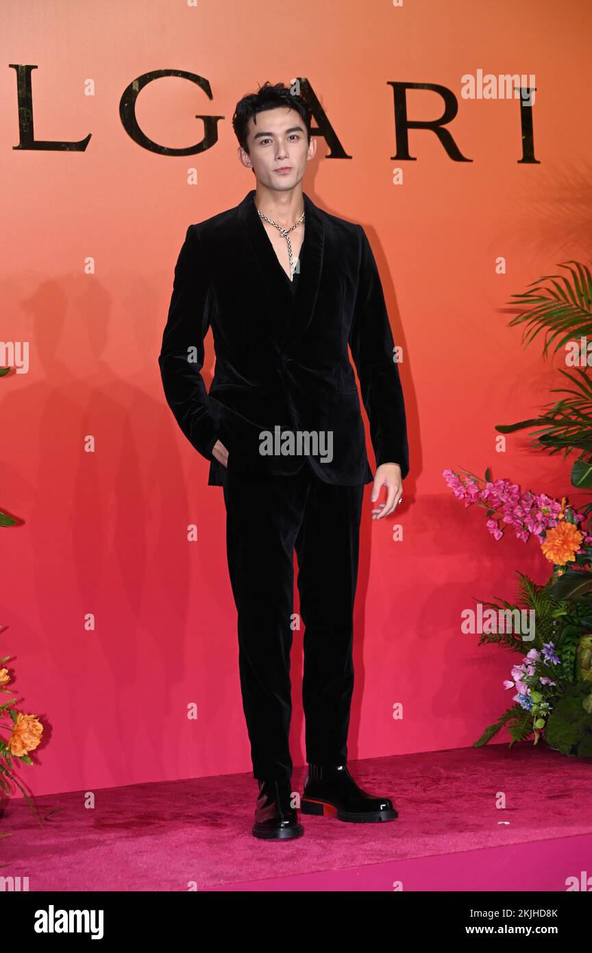 Chinese actor Leo Wu attended the red carpet of the BVLGARI activity in ...