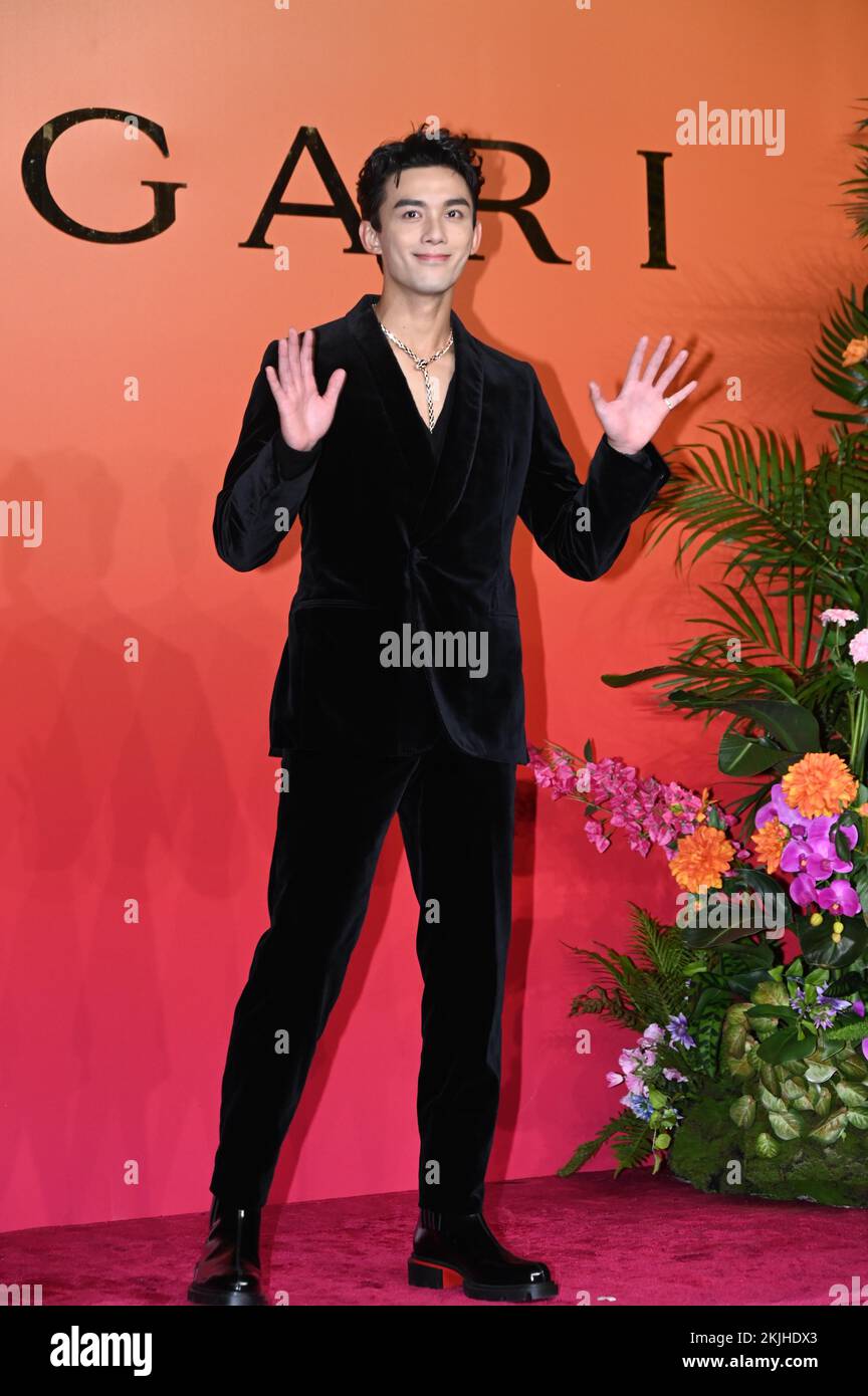 Chinese actor Leo Wu attended the red carpet of the BVLGARI activity in ...