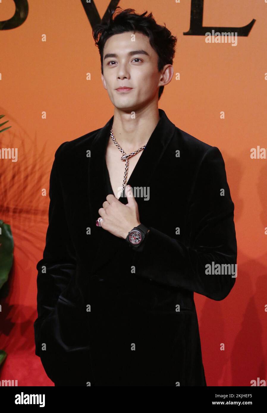 Chinese actor Leo Wu attended the red carpet of the BVLGARI activity in ...