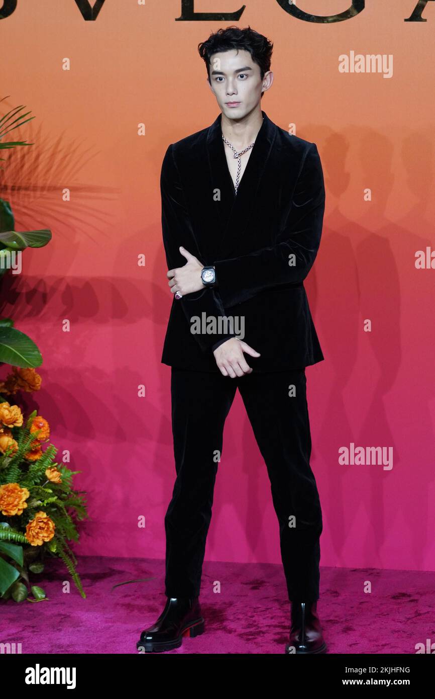 Chinese actor Leo Wu attended the red carpet of the BVLGARI activity in ...