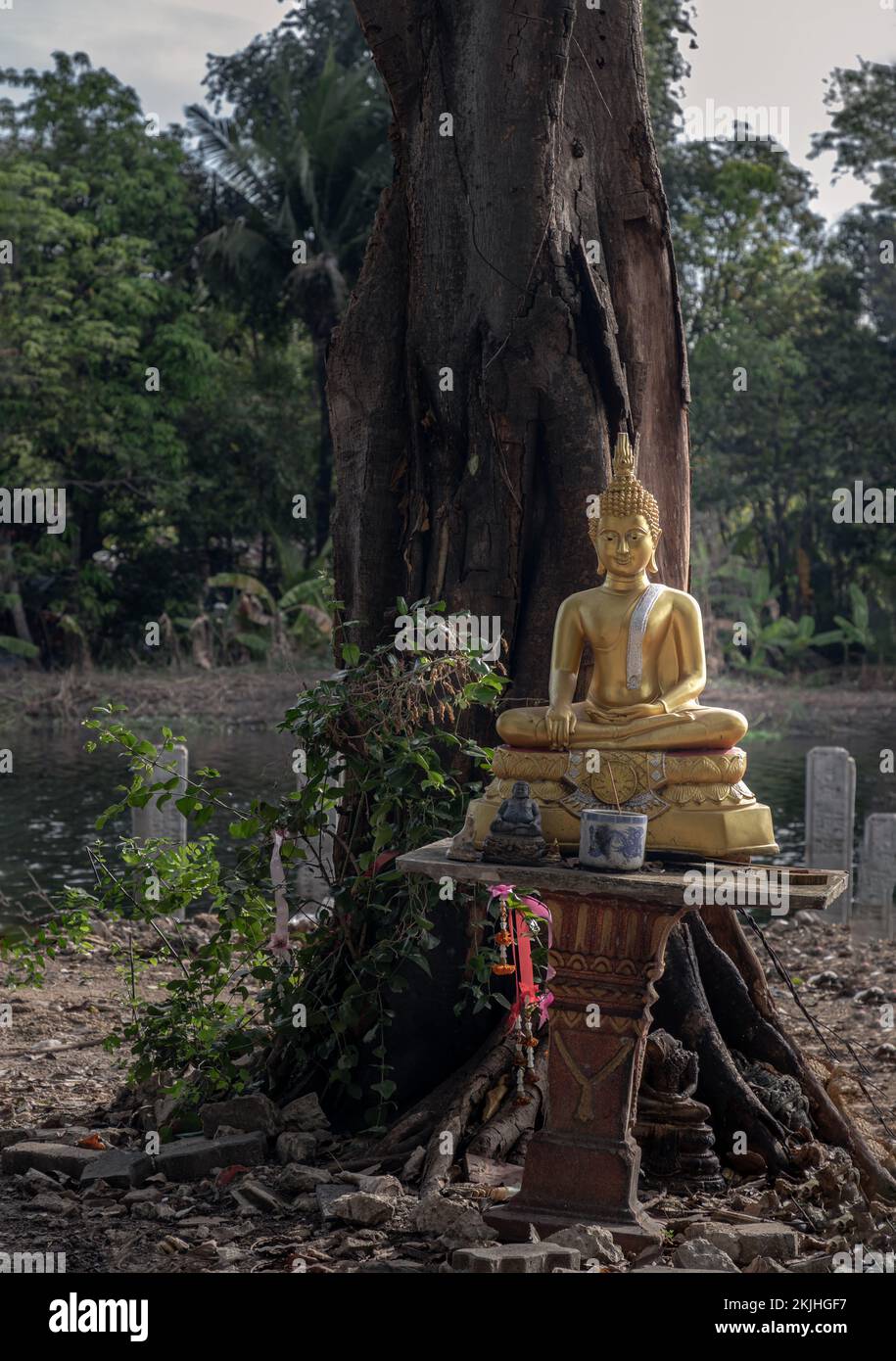 Buddha sitting under tree statue hi-res stock photography and images ...
