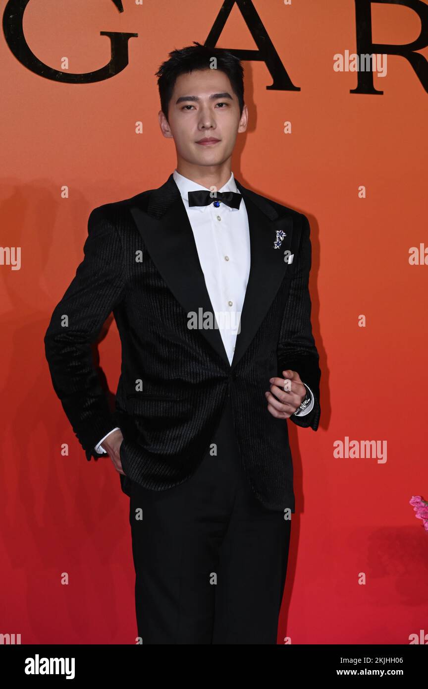 Chinese actor Yang Yang attended the red carpet of the BVLGARI activity ...