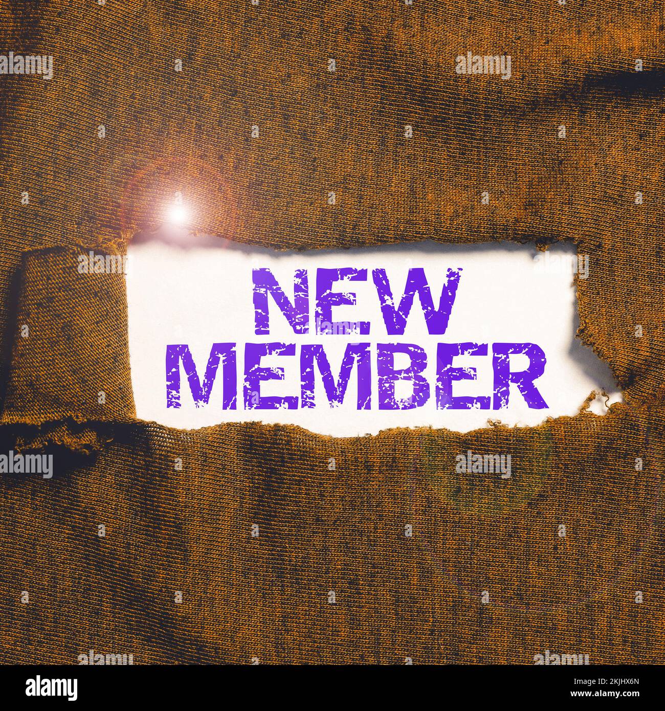 Text sign showing New Member. Word for recruiting employee to company ...