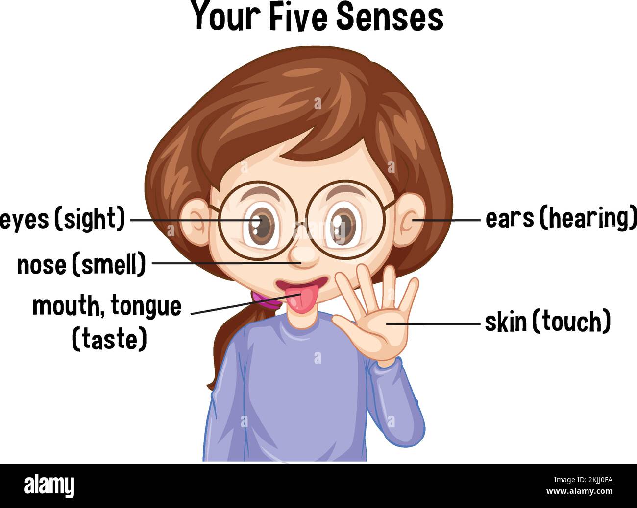 The Five Senses Hearing Cut Out Stock Images And Pictures Alamy