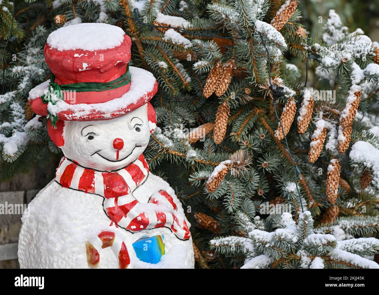 PRODUCTION - 20 November 2022, Brandenburg, Straupitz: Some snow lies ...