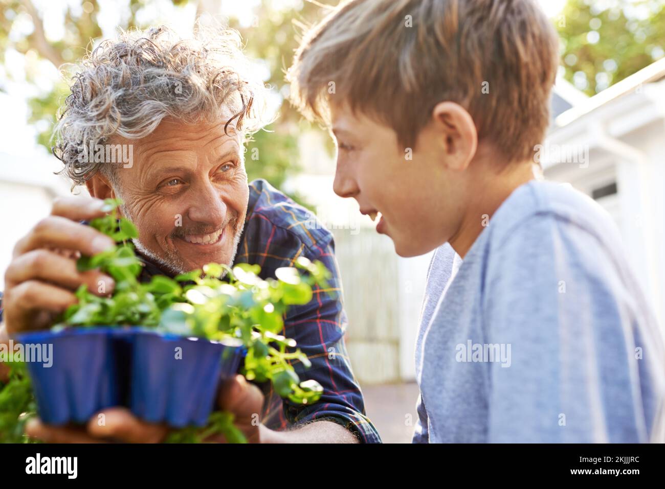 Plants need love too. a grandfather teaching his grandson about ...