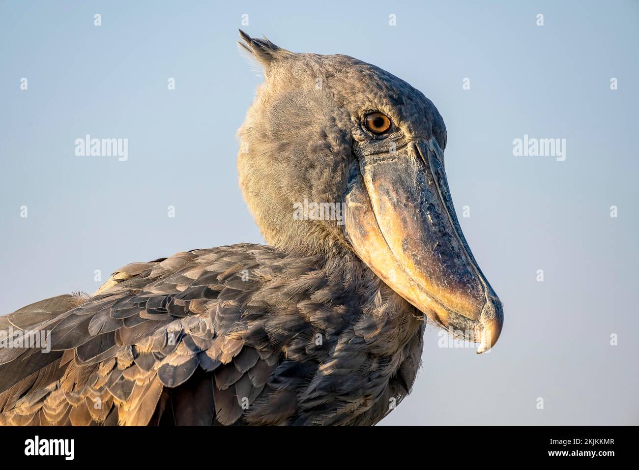 Lateral lightning hi-res stock photography and images - Alamy