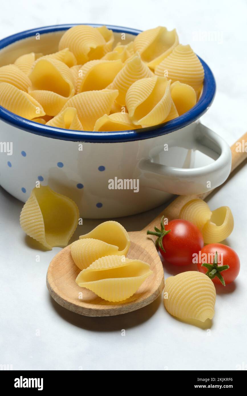 Conchiglie bivalve hi-res stock photography and images - Alamy