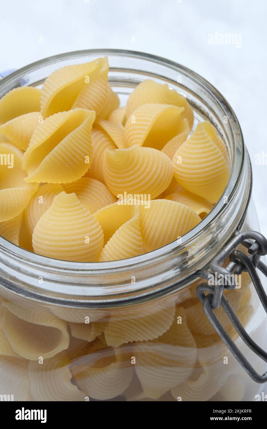 Conchiglie bivalve hi-res stock photography and images - Alamy