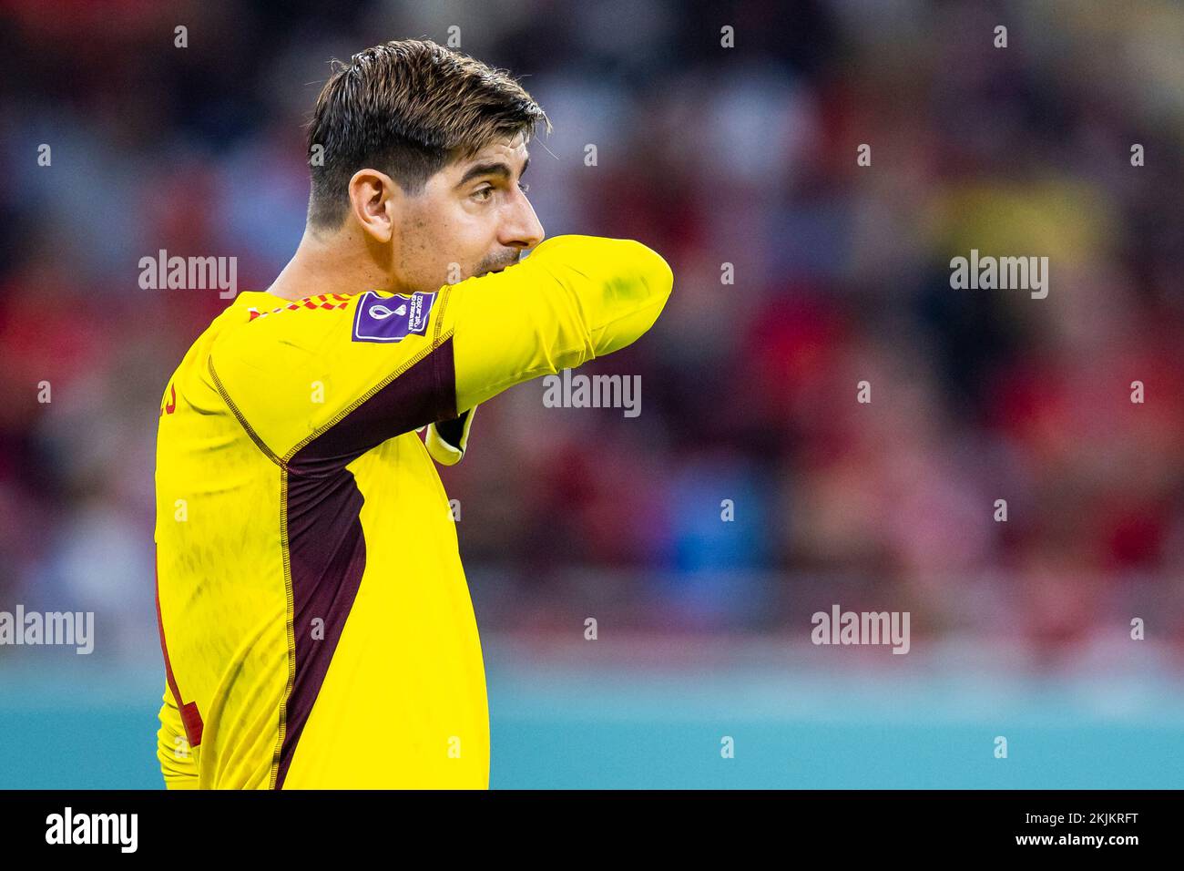 Ar Rayyan, Qatar. 23rd Nov, 2022. Soccer, World Cup 2022 in Qatar ...