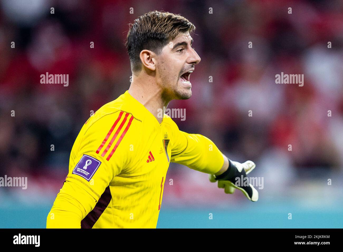 Ar Rayyan, Qatar. 23rd Nov, 2022. Soccer, World Cup 2022 in Qatar ...