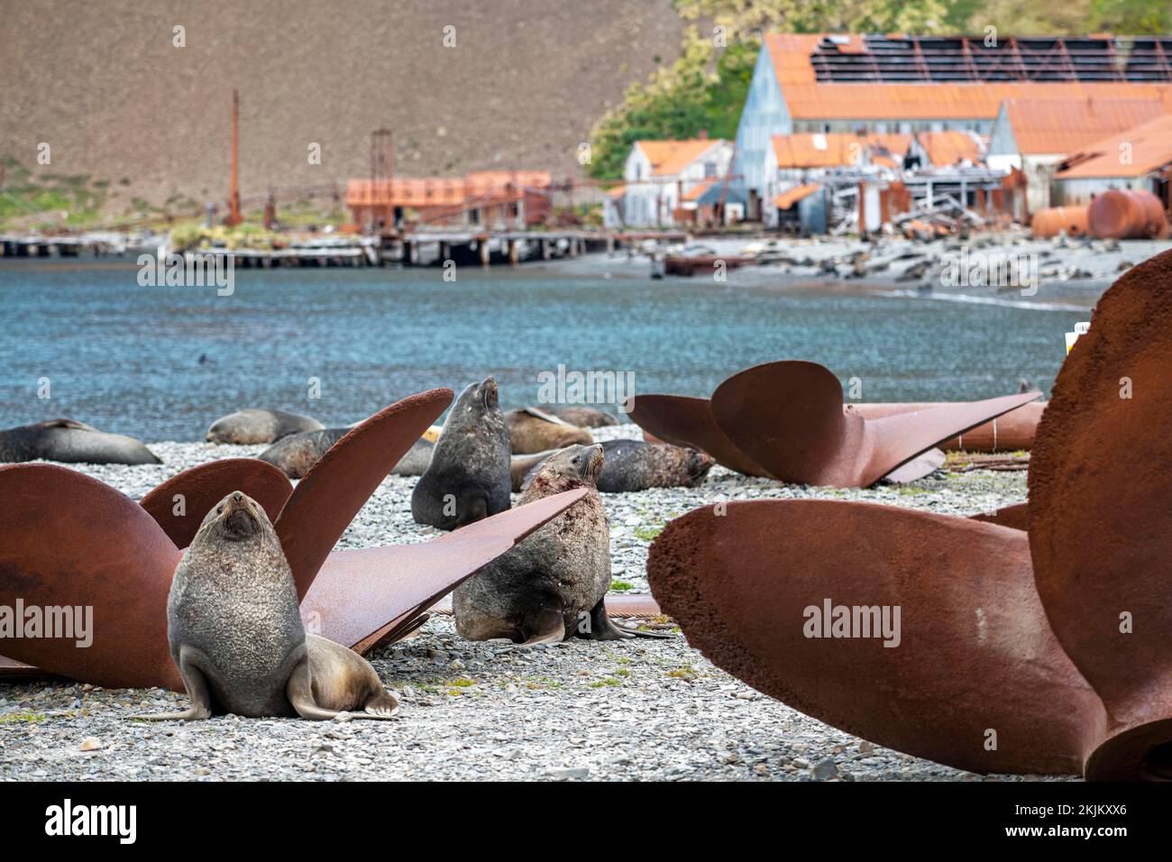 Stromness bay hi-res stock photography and images - Alamy