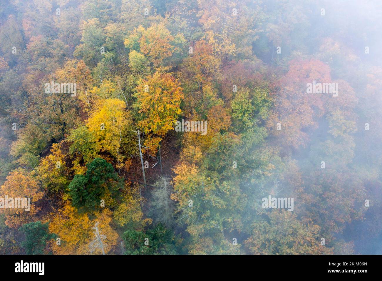 Foggy atmosphere, autumnal forest, aerial view, Thayatal, Hardegg ...