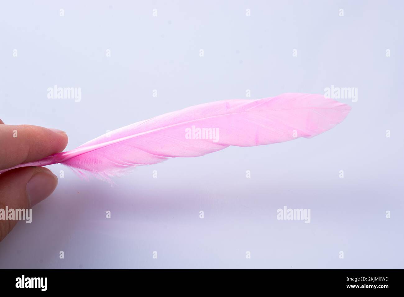 Bright colored feather in hand on white background Stock Photo - Alamy