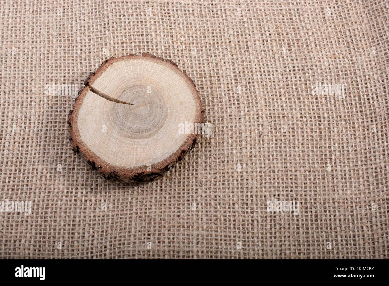 Piece of cut wood log texture as background Stock Photo - Alamy