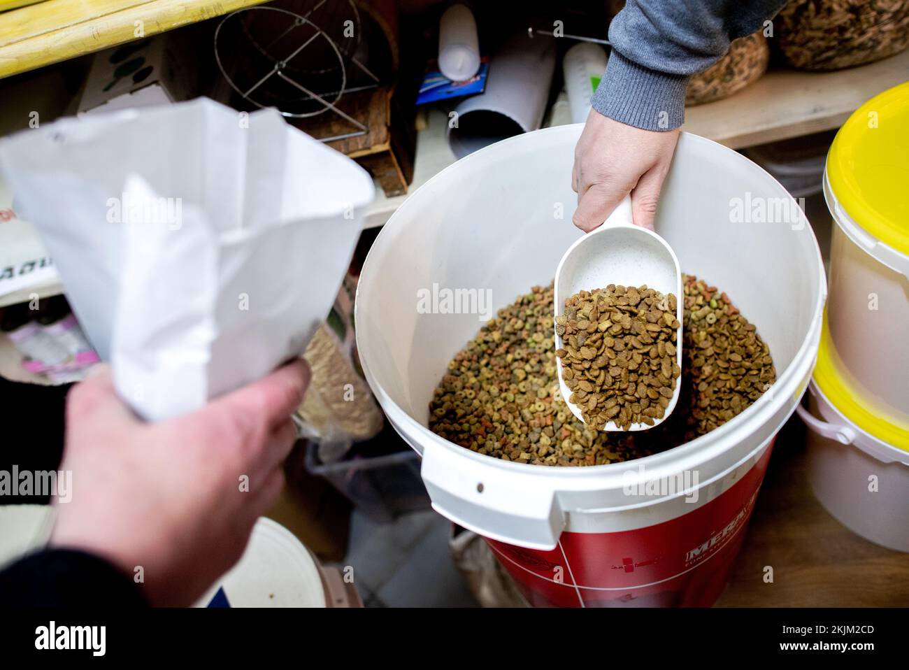 Tim evers hi-res stock photography and images - Alamy