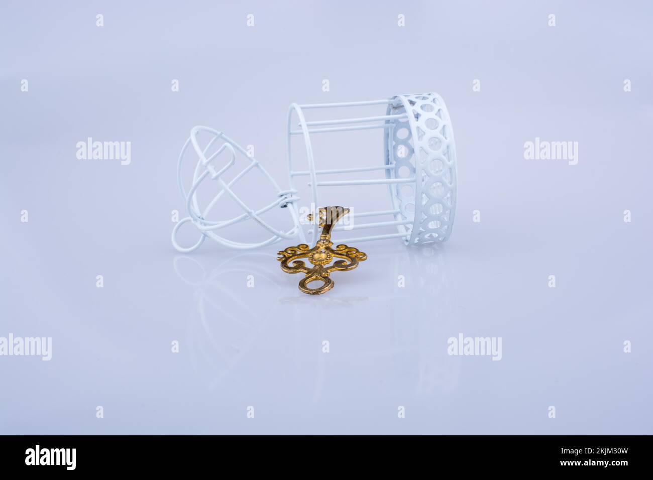 Retro styled key by the side of a bird cage on white background Stock ...