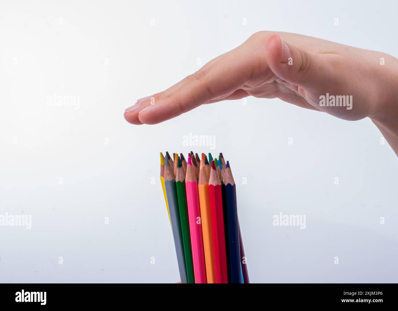 Hand holding color Pencils placed on a white background Stock Photo - Alamy