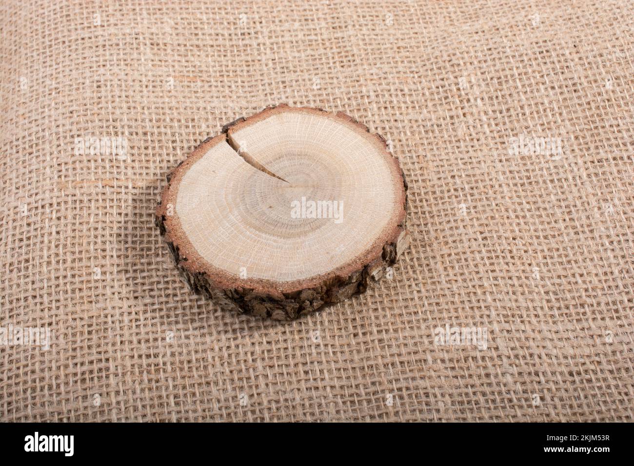 Piece of cut wood log texture as background Stock Photo - Alamy
