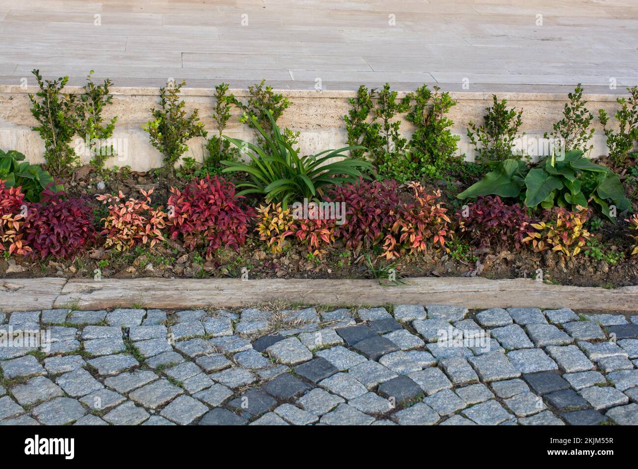 Dry leaves as an Autumn nature background Stock Photo - Alamy