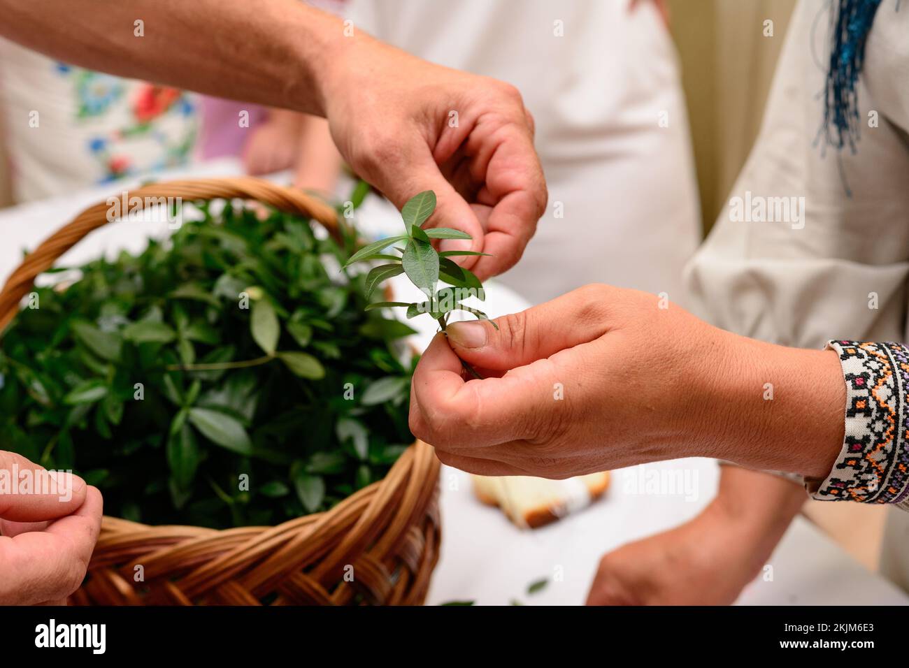 The process of weaving a periwinkle wreath, which is a traditional ...