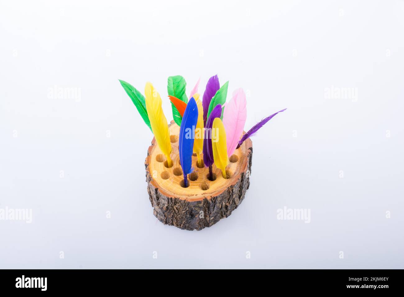Collection of bright colored feathers on a wooden log Stock Photo - Alamy
