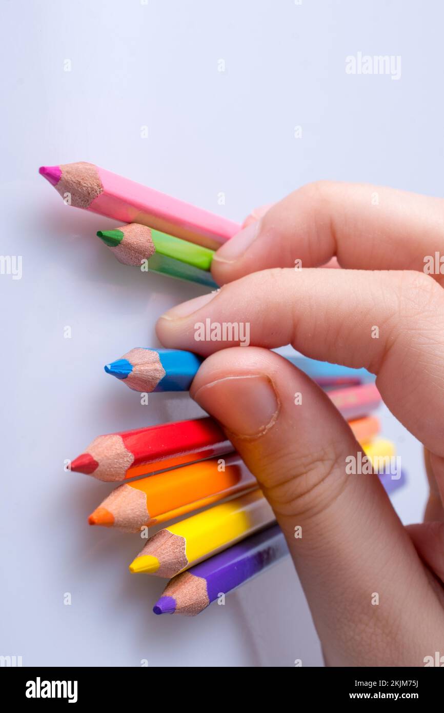 Hand holding color Pencils placed on a white background Stock Photo - Alamy