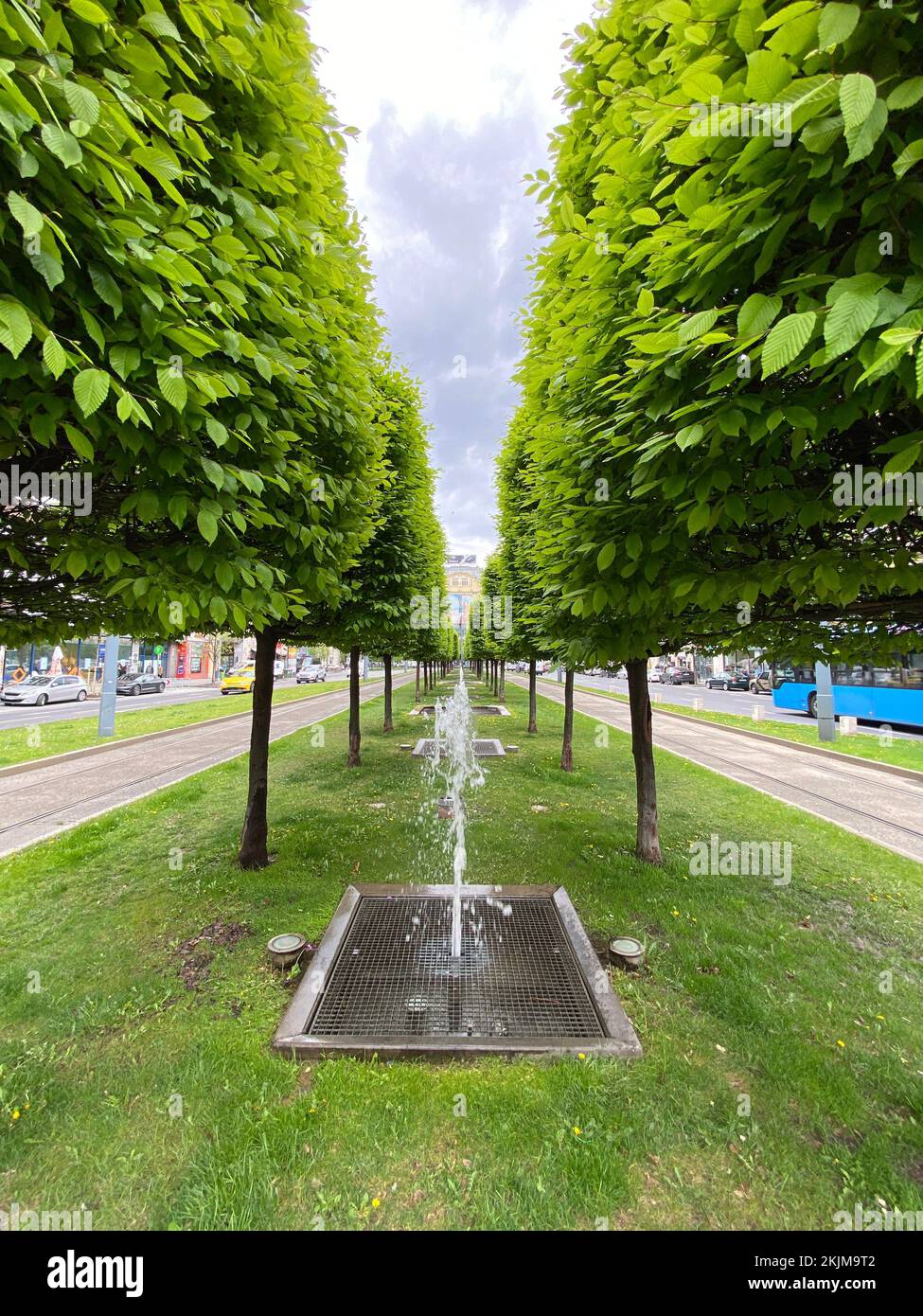 A water fountain splashing water in the tree alley in the middle of a ...