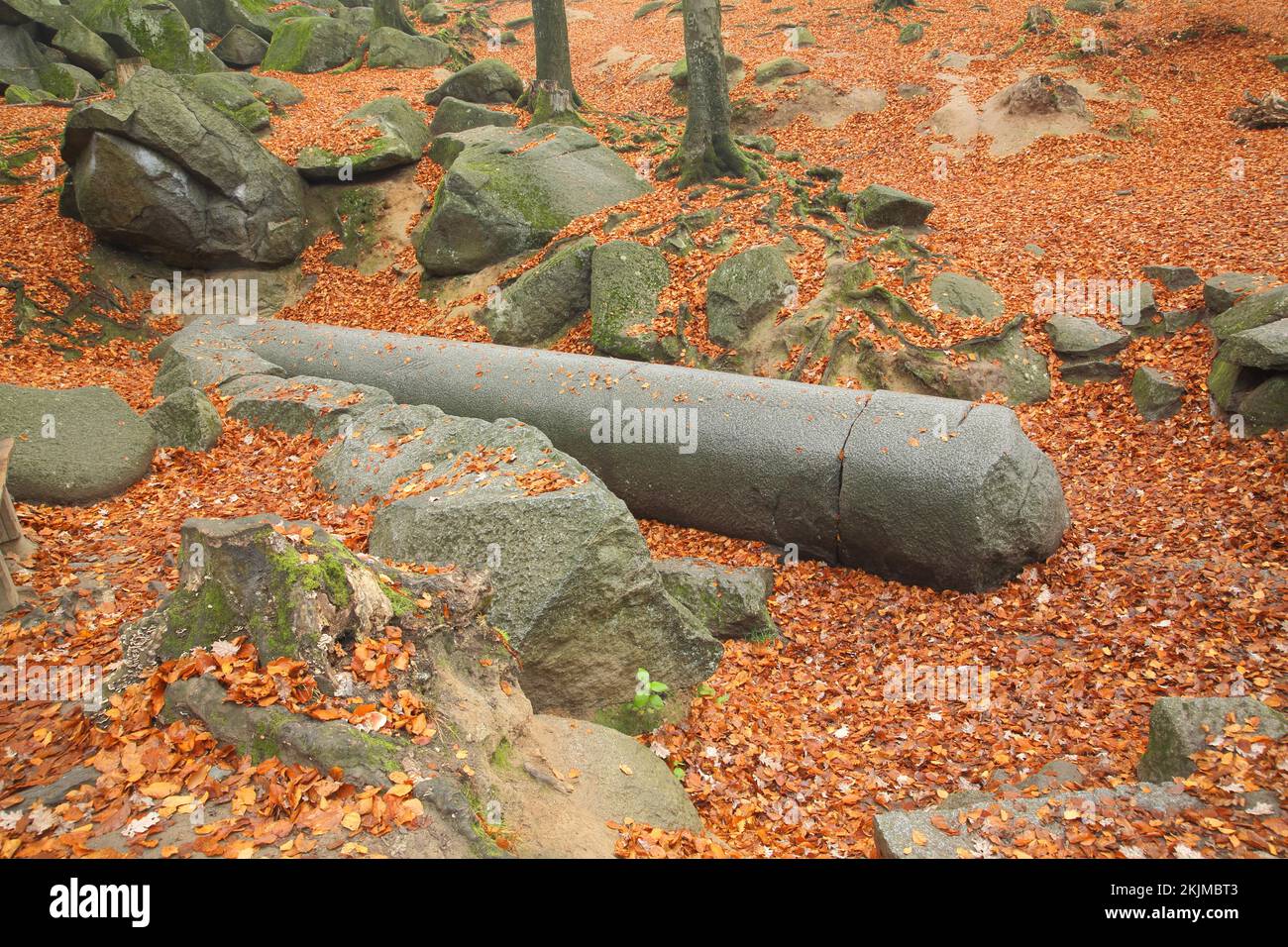 Roman giant column in the forest with rocks, Roman period, Roman ...