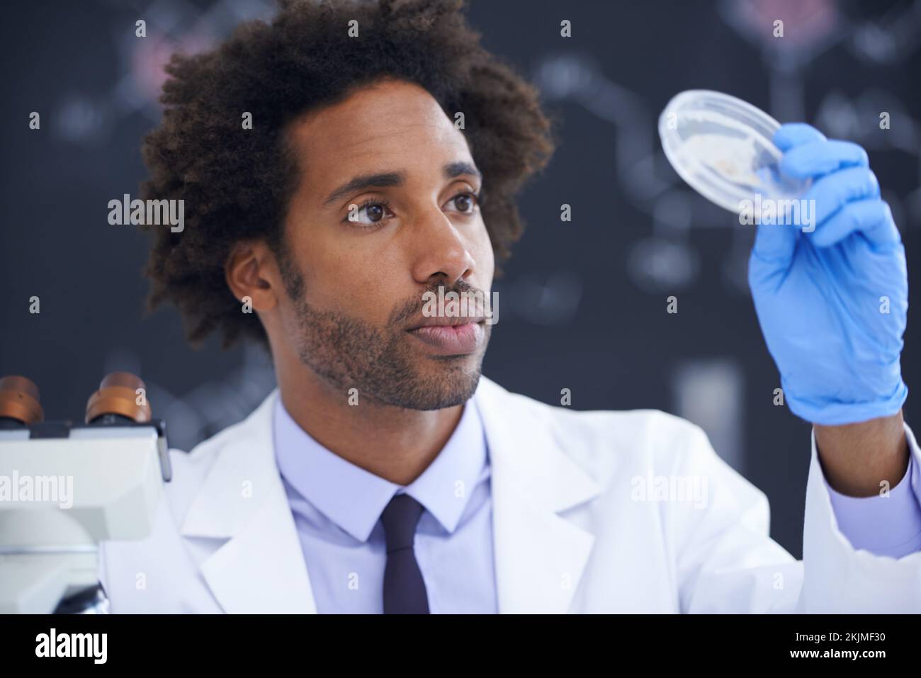 Its getting crowded in there with all the bacteria. a male scientist ...