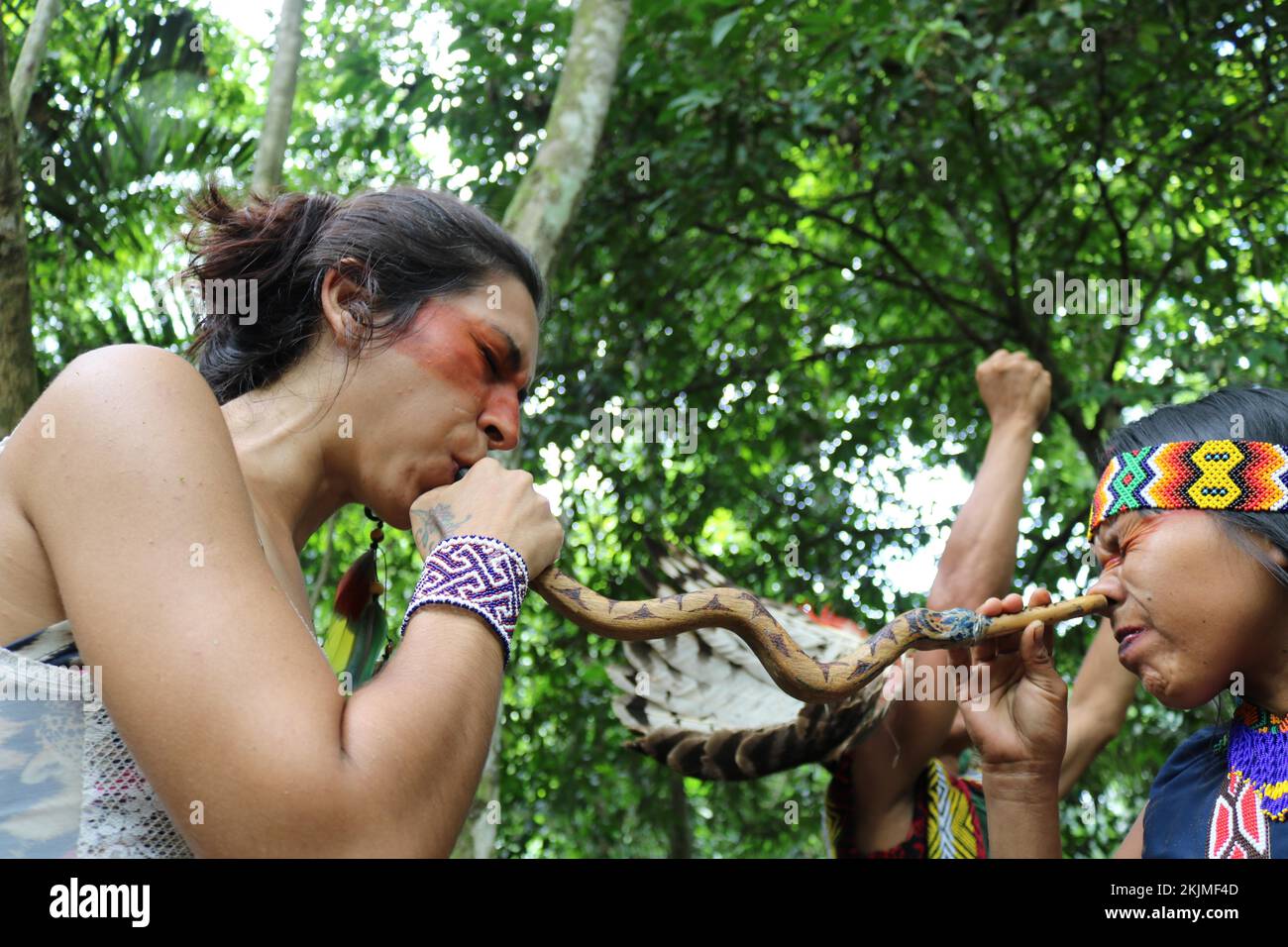 Indigenous people, use of the sacred indigenous snuff (Rapé) by the ...