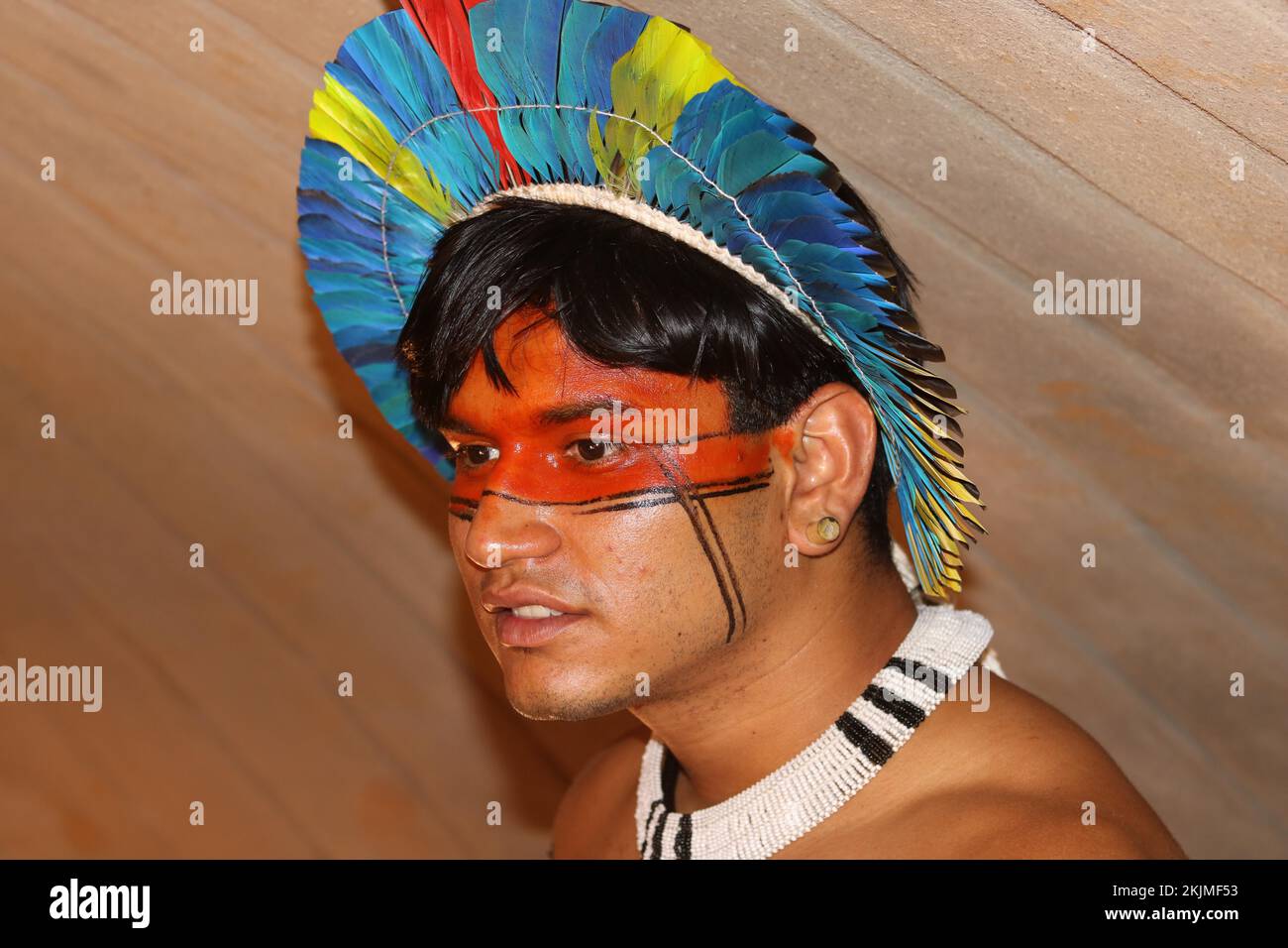Indigenous people, Fulni-ô man wearing a headdress made of bird ...