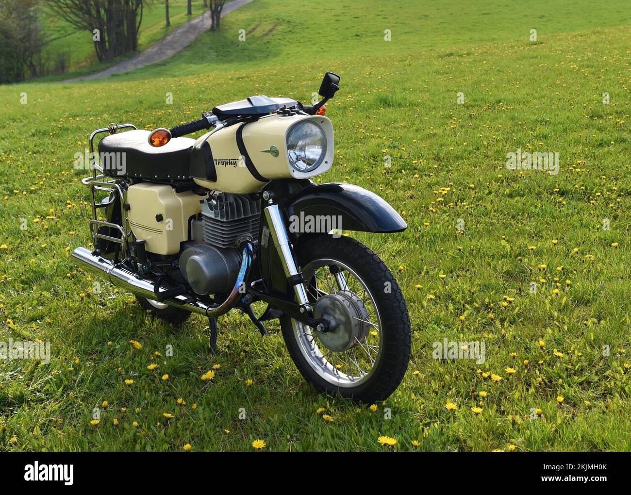 Vintage motorbike from the GDR MZ ES 250, Hesse, Germany, Europe Stock ...