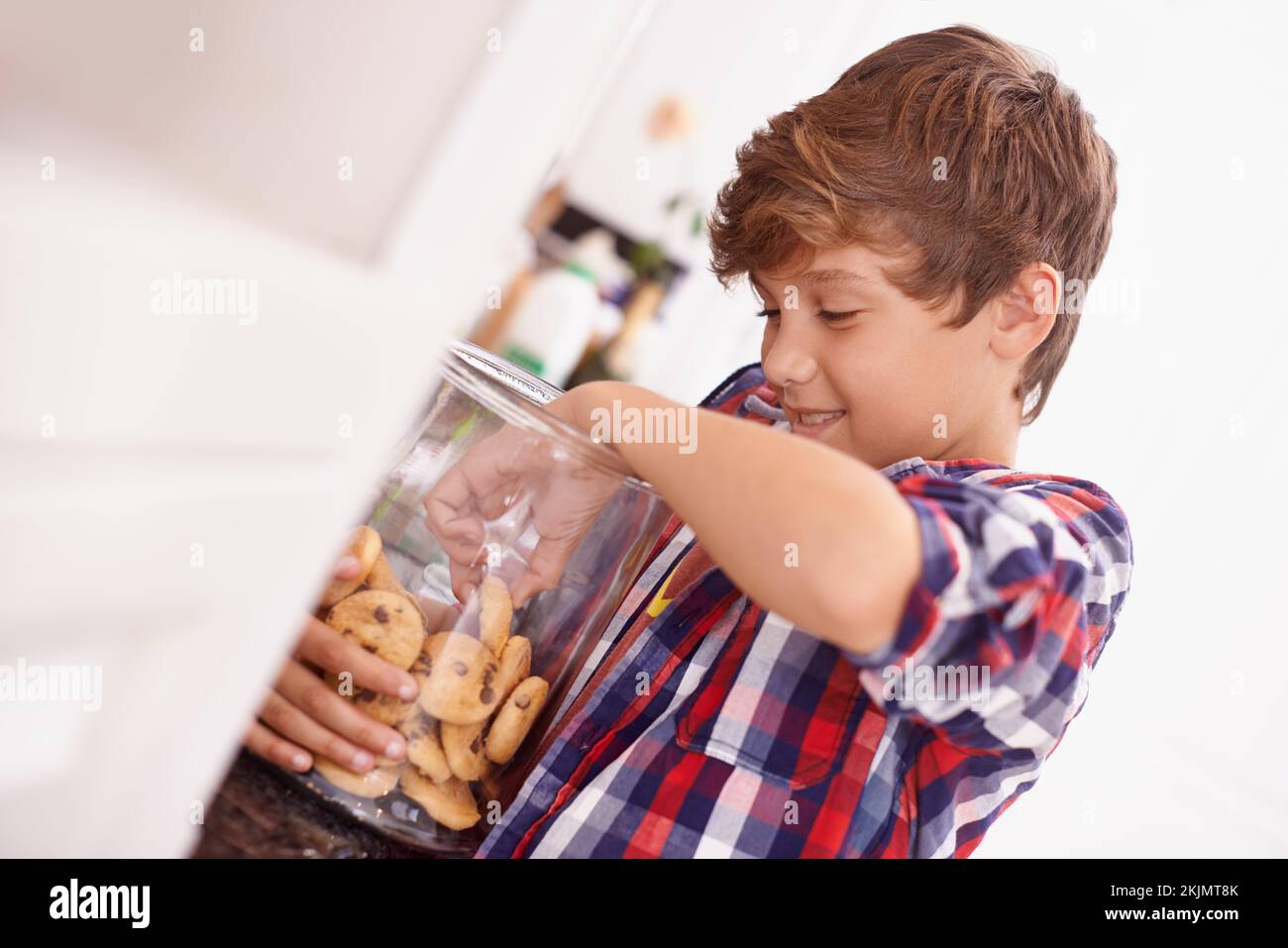 Ill just have one more. A young boy reaching for a cookie from the jar ...
