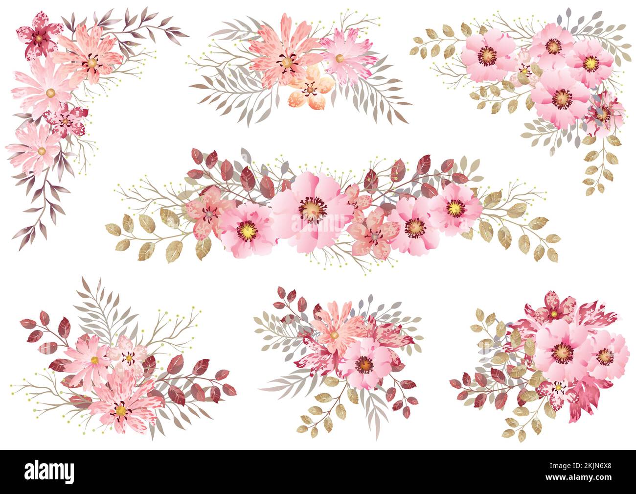 Set Of Botanical Elements Isolated On A White Background. Vector ...