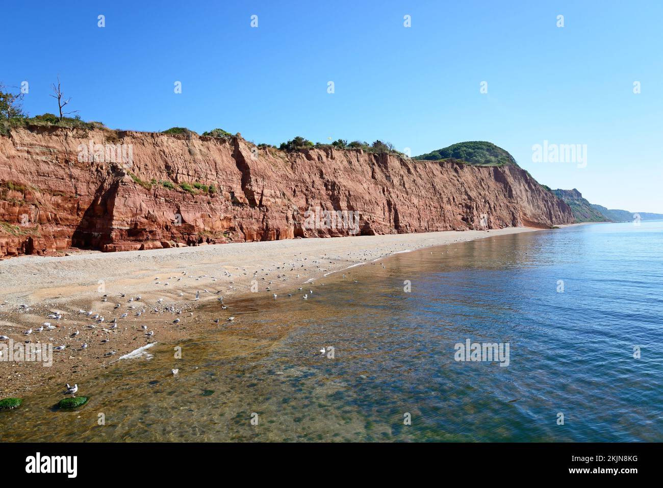 View of the beach and cliffs at Pennington Point, Sidmouth, Devon, UK ...