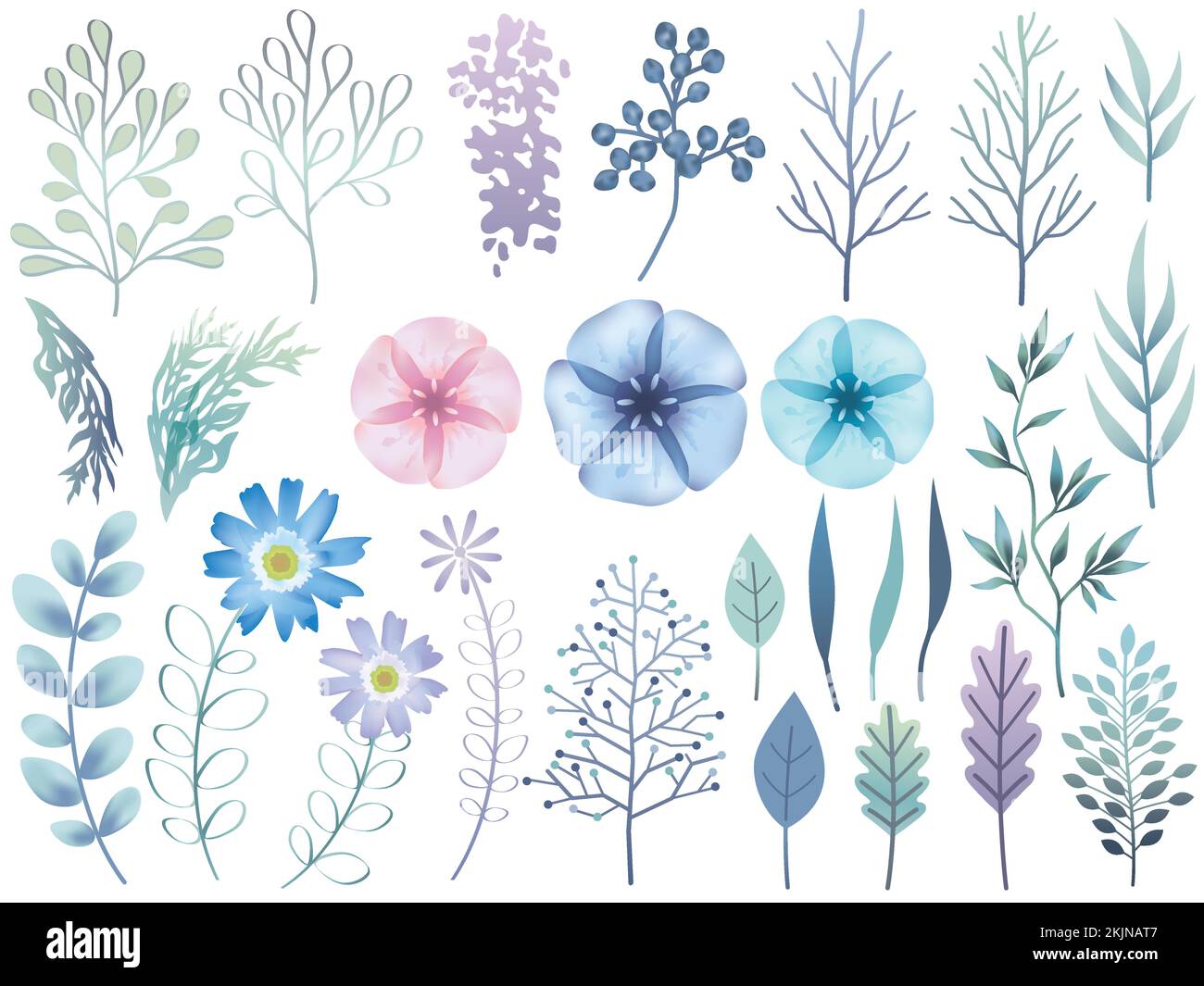 Purple flower botanical illustration Stock Vector Images - Alamy