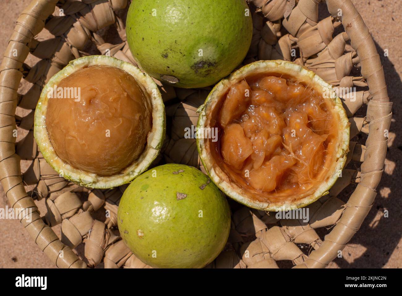 Ripe fruit of the Strychnos spinosa tree known as natal orange or ...