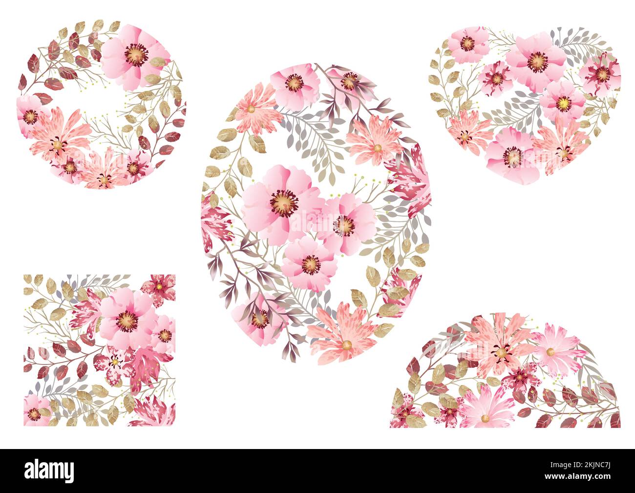 Blossom botanical illustration hi-res stock photography and images - Alamy