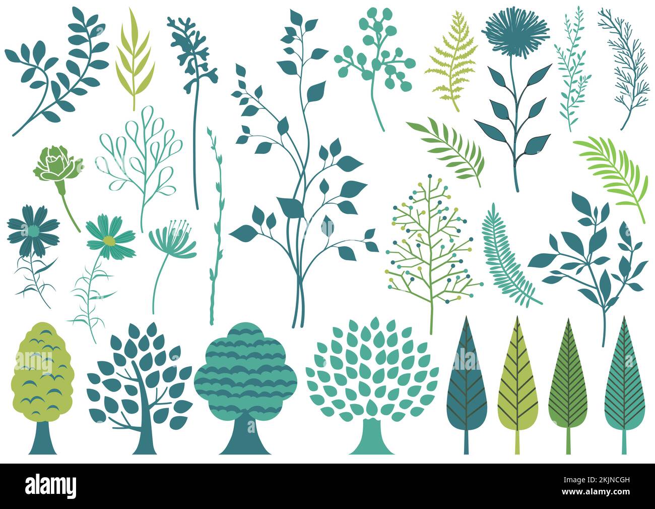 Set Of Botanical Elements Isolated On A White Background. Vector ...