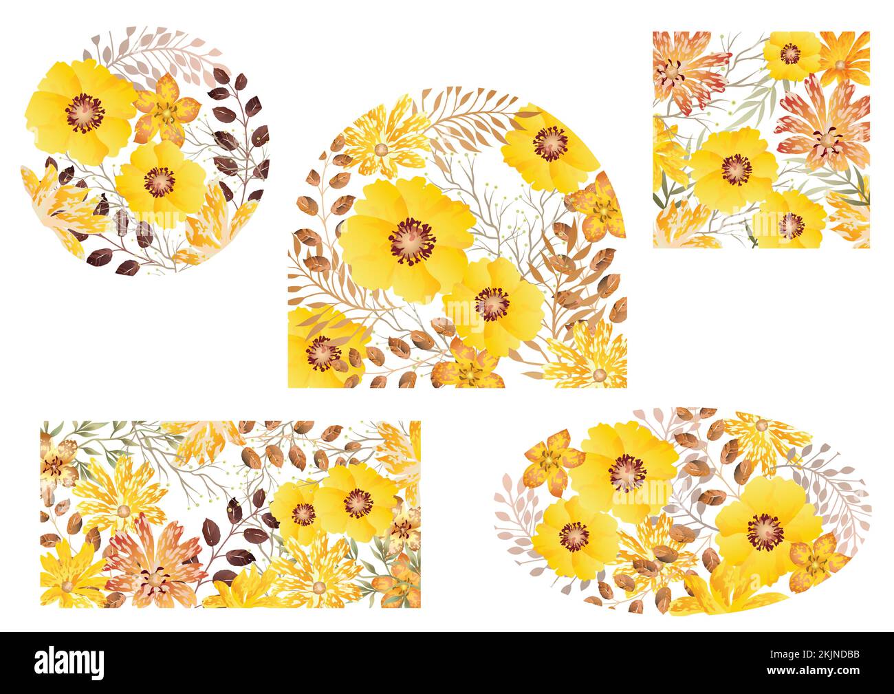 Set Of Botanical Elements Isolated On A White Background. Vector ...