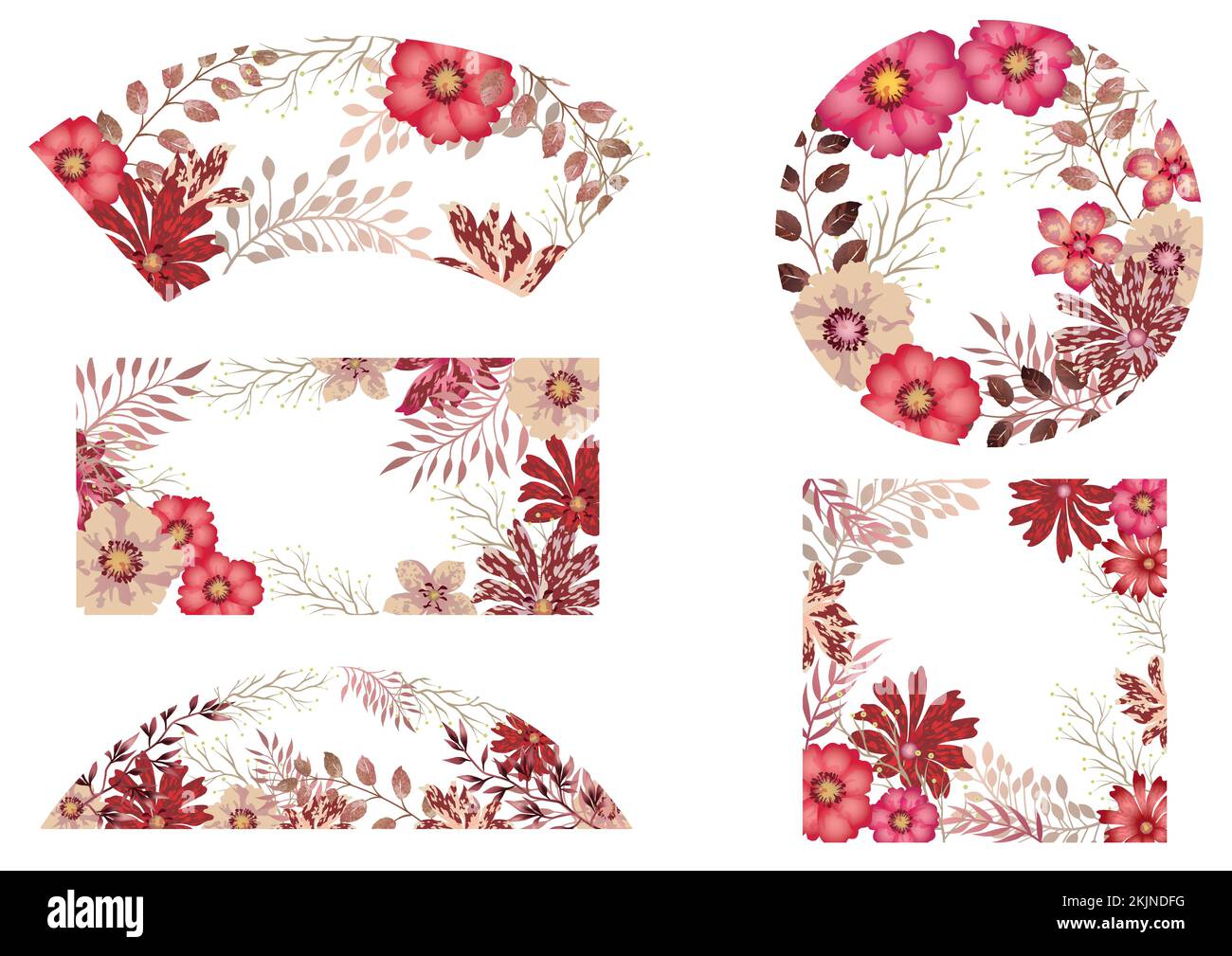 Set Of Botanical Elements Isolated On A White Background. Vector ...