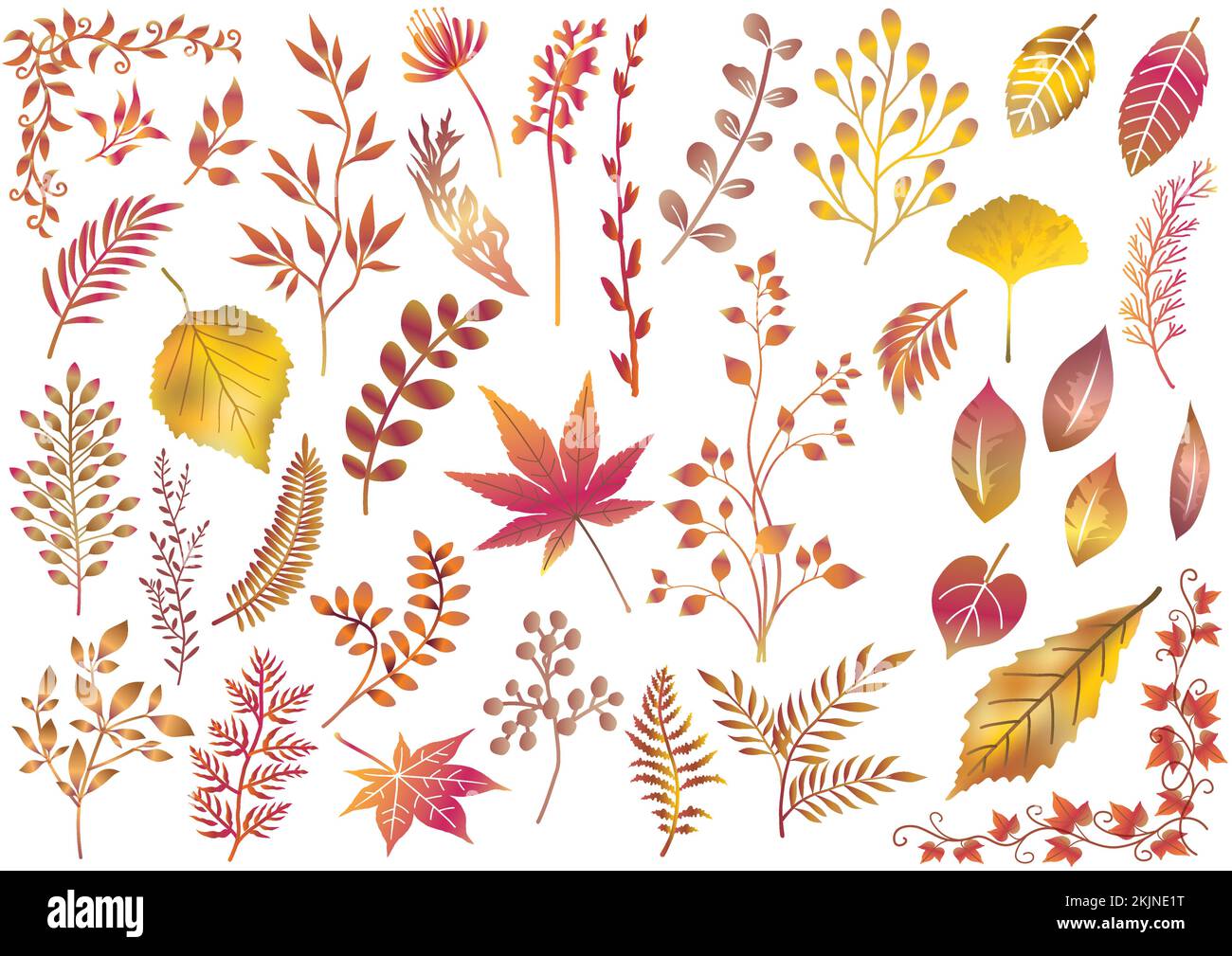 Autumn flower Stock Vector Images - Alamy