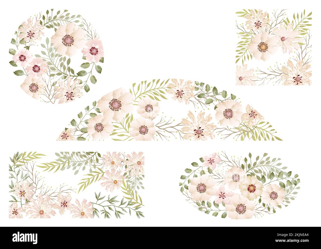 Set Of Botanical Elements Isolated On A White Background. Vector ...