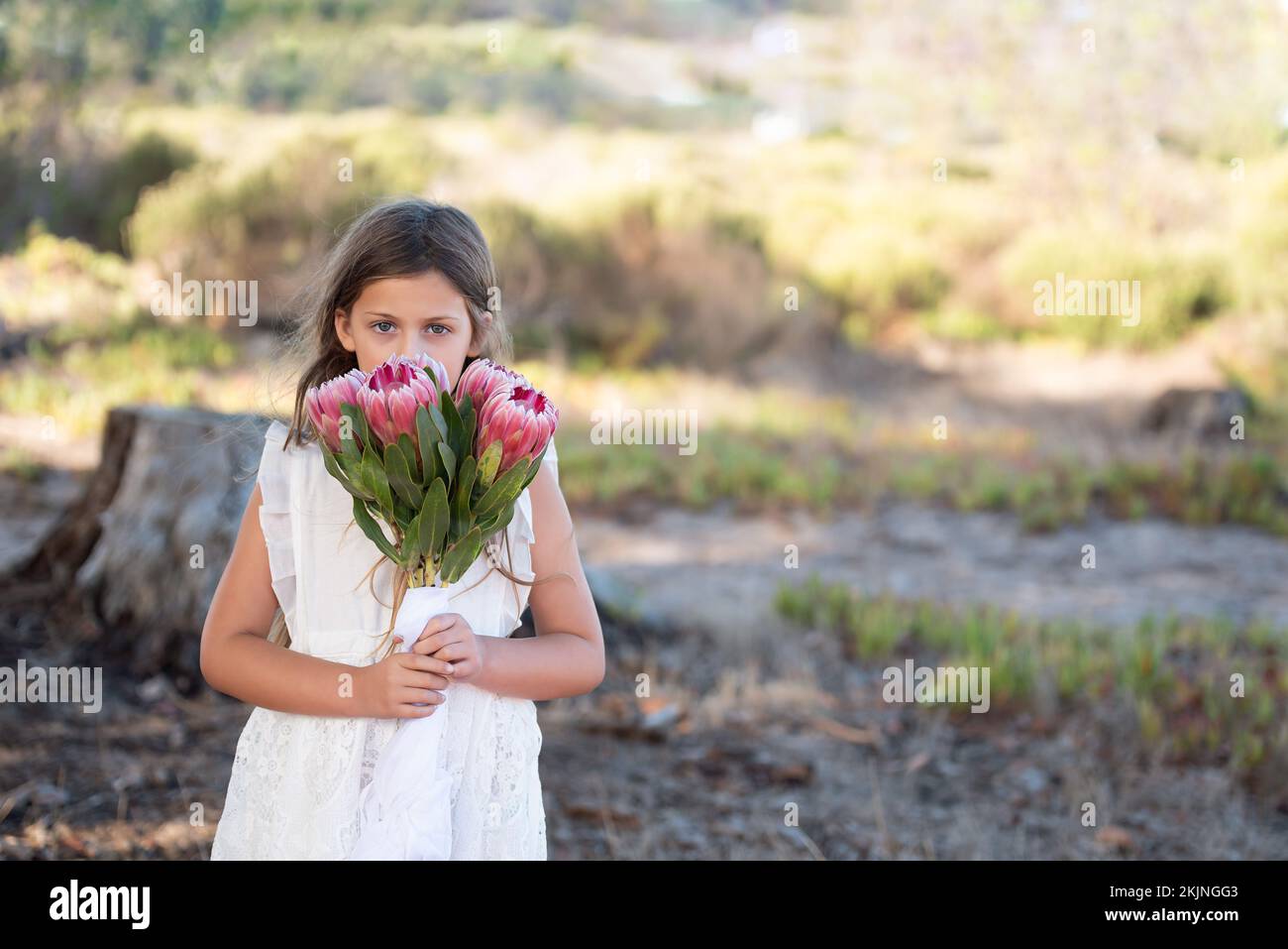 A Caucasian girl holding pink flowers and looking at camera Stock Photo ...