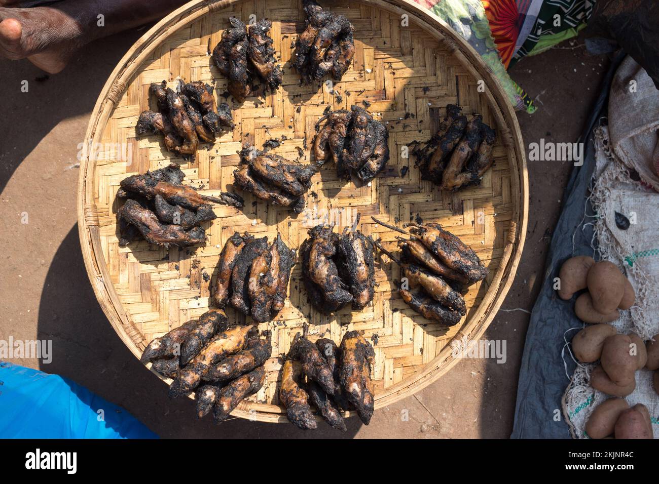 Rodent kebab hi-res stock photography and images - Alamy